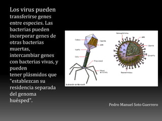 Flujo Genético entre Poblaciones | PPTX