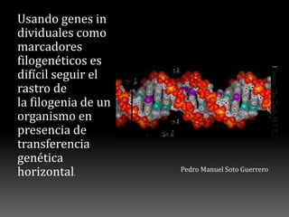 Flujo Genético entre Poblaciones | PPTX