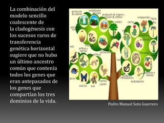 Flujo Genético entre Poblaciones | PPTX