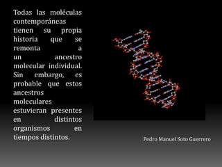Flujo Genético entre Poblaciones | PPTX