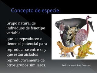 Flujo Genético entre Poblaciones | PPTX