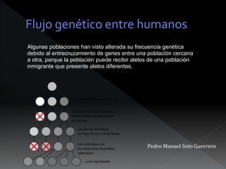 Flujo Genético entre Poblaciones | PPTX