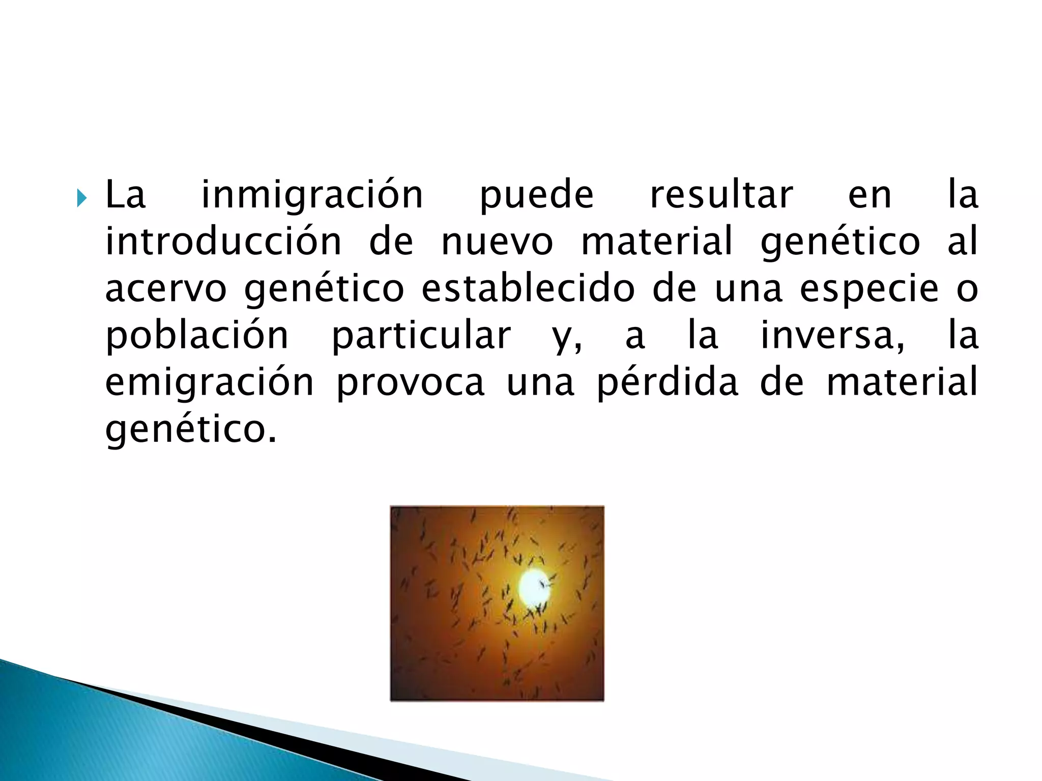 Flujo Génético y Deriva Genética | PPTX