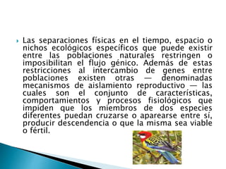Flujo Génético y Deriva Genética | PPTX
