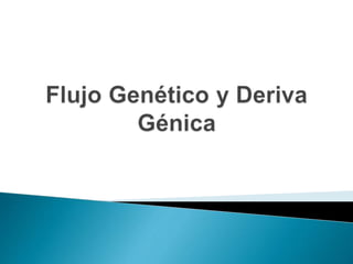 Flujo Génético y Deriva Genética | PPT