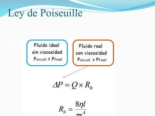 Mecanica de fluidos Tema Flujo masico.ppt