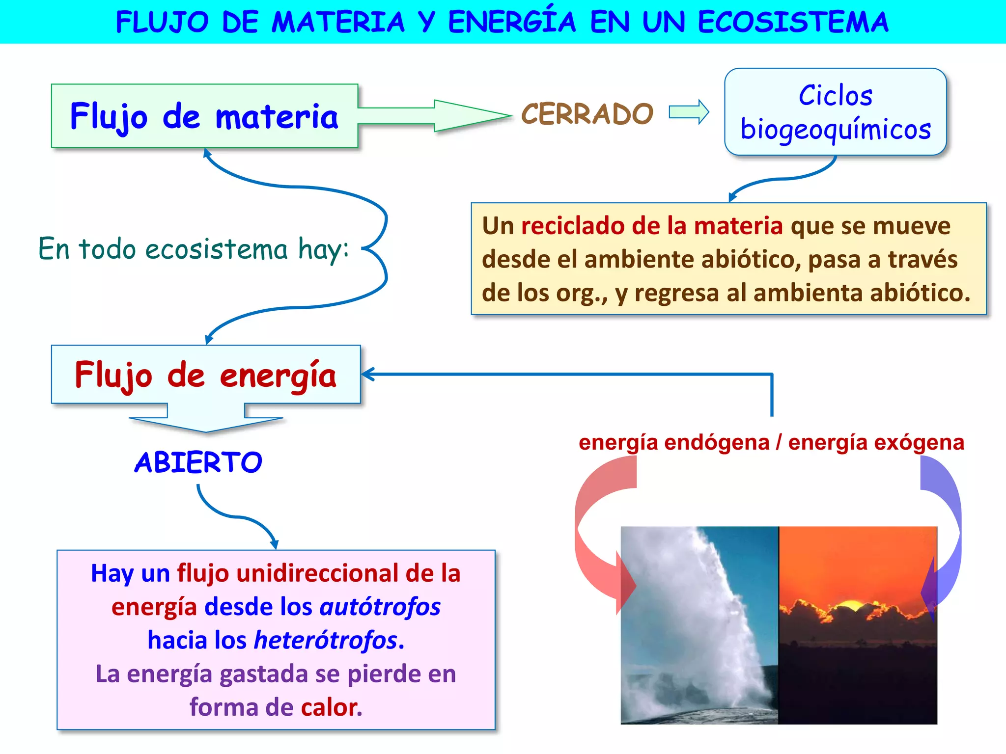 Flujo de materia y energía 4 ESO | PDF
