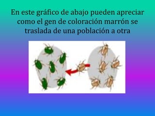Flujos geneticos | PPTX