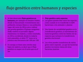 Flujos geneticos | PPTX