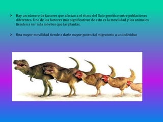 Flujos geneticos | PPTX