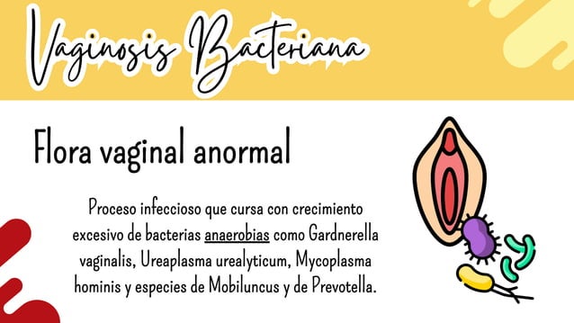Flujo vaginal. Ginecologia. Presentacion | PDF