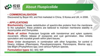 Fluopicolide Registrations Watch in China | PPT