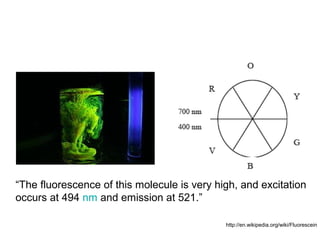 Fluorescein | PPT