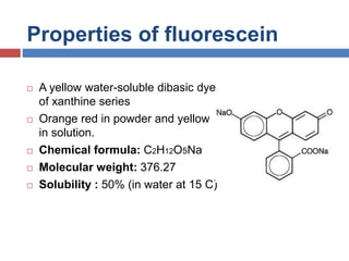 Fluorescein Stain | PPTX