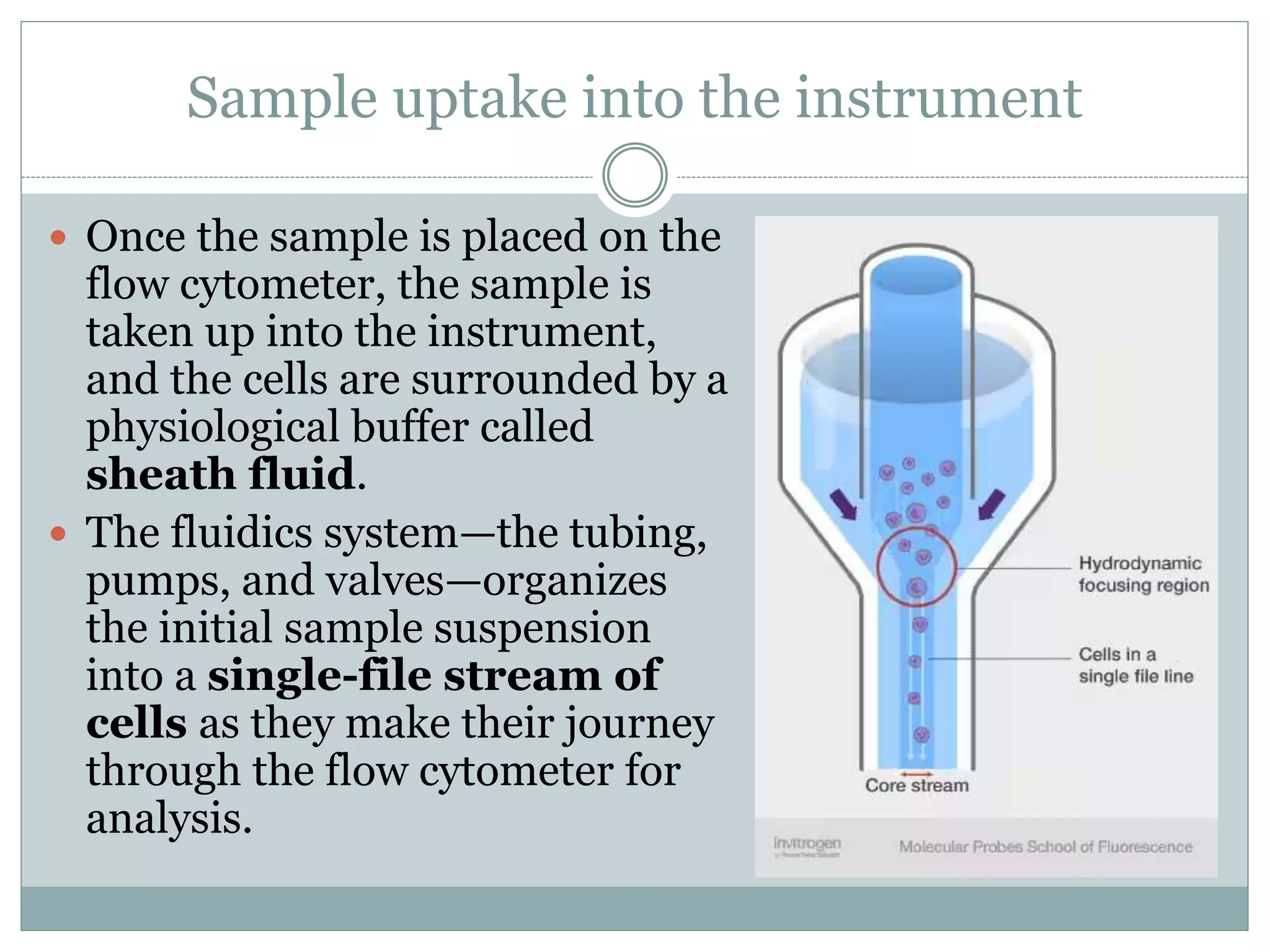 Fluorescence-activated Cell Sorting (FACS).pptx