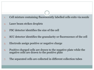 Fluorescence-activated Cell Sorting (FACS).pptx