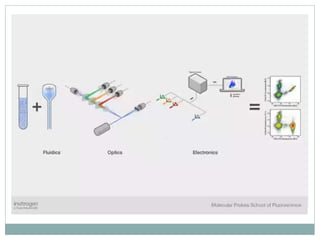 Fluorescence-activated Cell Sorting (FACS).pptx