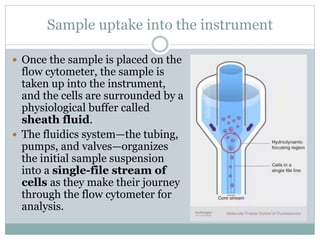 Fluorescence-activated Cell Sorting (FACS).pptx