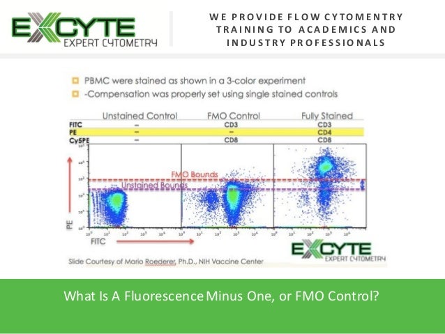 What Is A Fluorescence Minus One, or FMO Control
