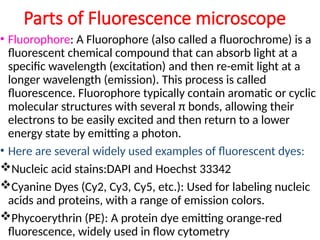 Fluorescence and confocal microscope (1).pptx