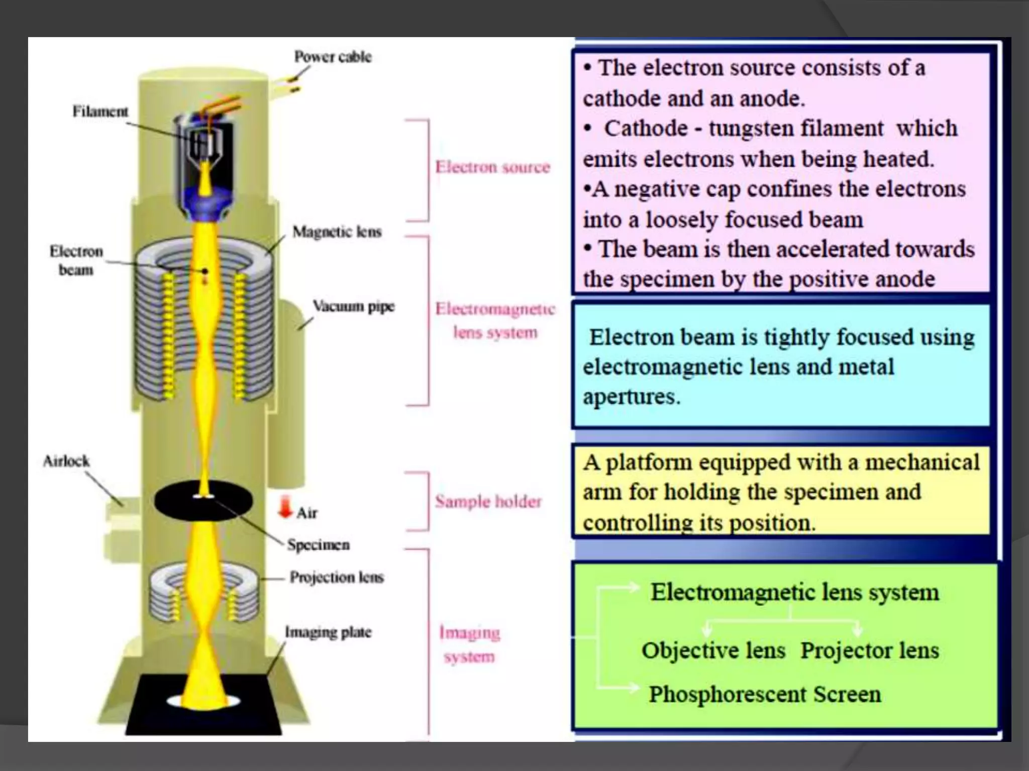 Fluorescence and electron Microscope.pptx