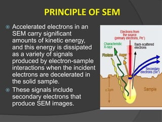 Fluorescence and electron Microscope.pptx