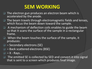 Fluorescence and electron Microscope.pptx