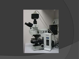 Fluorescence and electron Microscope.pptx
