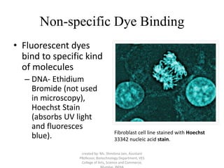 Fluorescence and electron microscopy | PPTX
