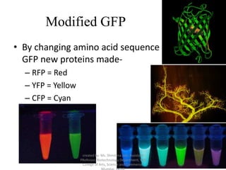 Fluorescence and electron microscopy | PPTX