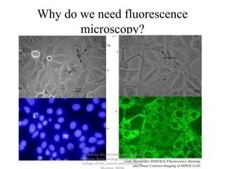 Fluorescence and electron microscopy | PPTX