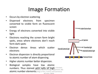 Fluorescence and electron microscopy | PPTX