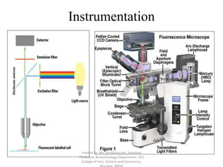 Electron Microscopes Labeled