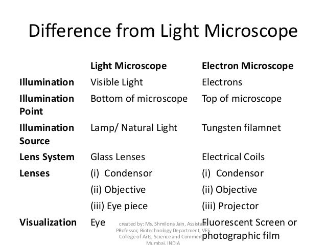 Fluorescence and electron microscopy