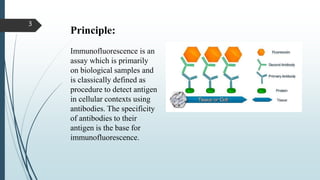 Fluorescence antibody test | PPTX
