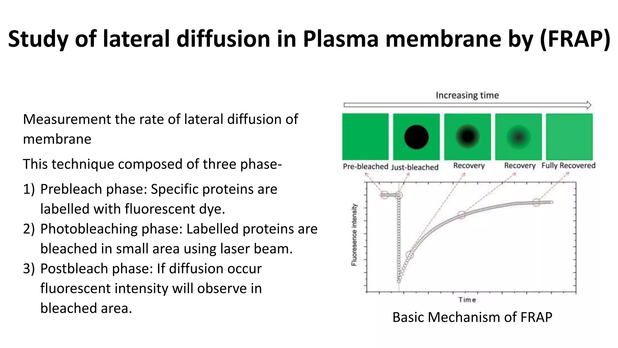 Basic Application of Fluorescence in biology | PPTX