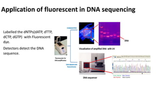Basic Application of Fluorescence in biology | PPTX