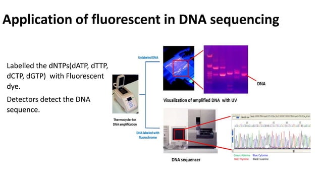 Basic Application of Fluorescence in biology | PPTX