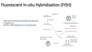 Basic Application of Fluorescence in biology | PPTX