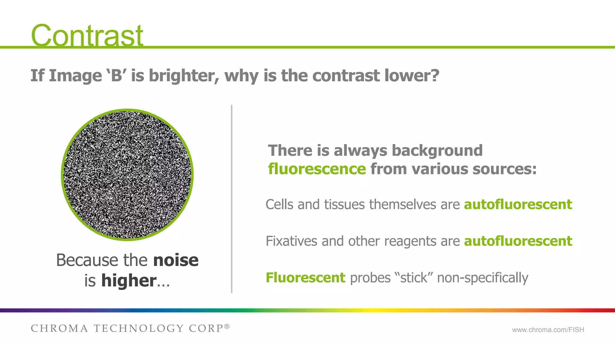 FLUORESCENCE FILTERS FOR FISH- Fluorescence in situ hybridization.pdf