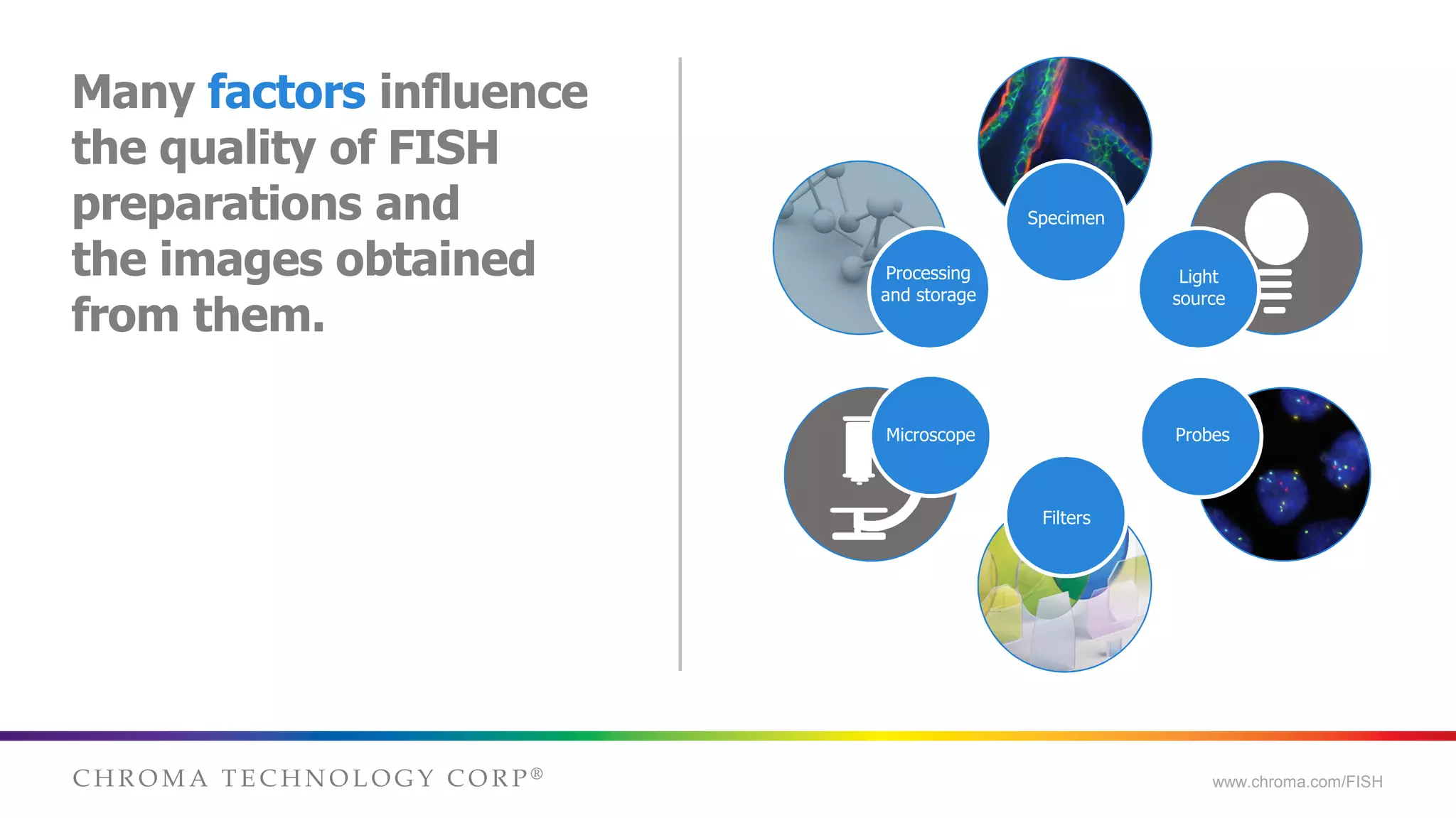 FLUORESCENCE FILTERS FOR FISH- Fluorescence in situ hybridization.pdf