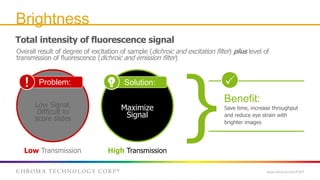 FLUORESCENCE FILTERS FOR FISH- Fluorescence in situ hybridization.pdf