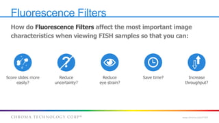 FLUORESCENCE FILTERS FOR FISH- Fluorescence in situ hybridization.pdf