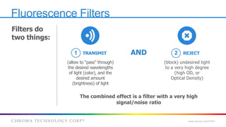 FLUORESCENCE FILTERS FOR FISH- Fluorescence in situ hybridization.pdf
