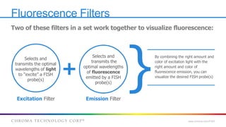 FLUORESCENCE FILTERS FOR FISH- Fluorescence in situ hybridization.pdf