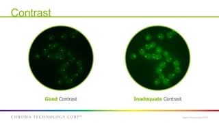 FLUORESCENCE FILTERS FOR FISH- Fluorescence in situ hybridization.pdf