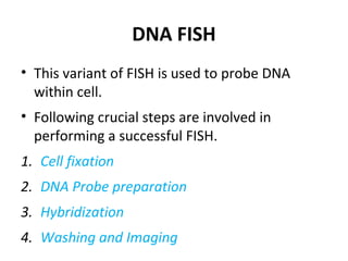 Fluorescence in situ hybridization | PPT