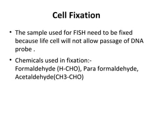 Fluorescence in situ hybridization | PPT