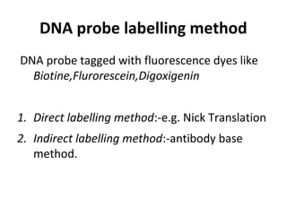 Fluorescence in situ hybridization | PPT