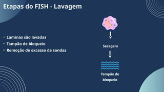 _FLUORESCENCE IN SITU HYBRIDIZATION (FISH)_20240806_063455_0000 (1) (2 ...